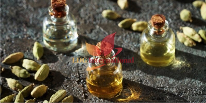 Cardamom Extra Absolute Oil Exporter | Pure & Natural Extracts